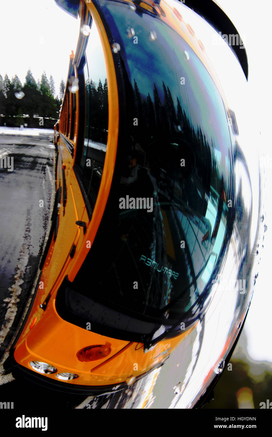 American school bus rear view hi-res stock photography and images - Alamy