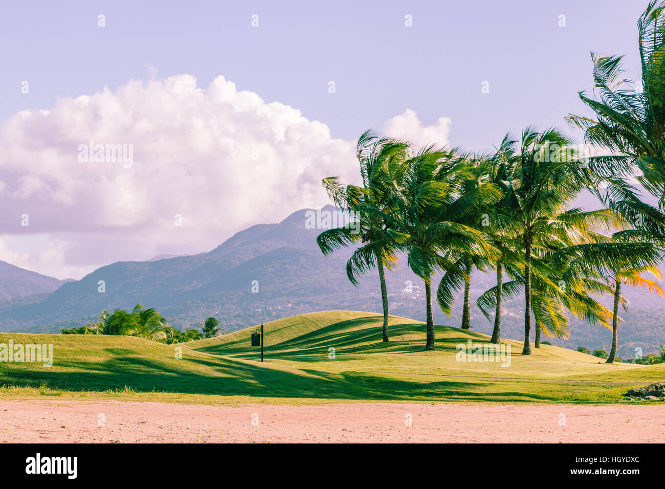 The rainforest course hi-res stock photography and images - Alamy