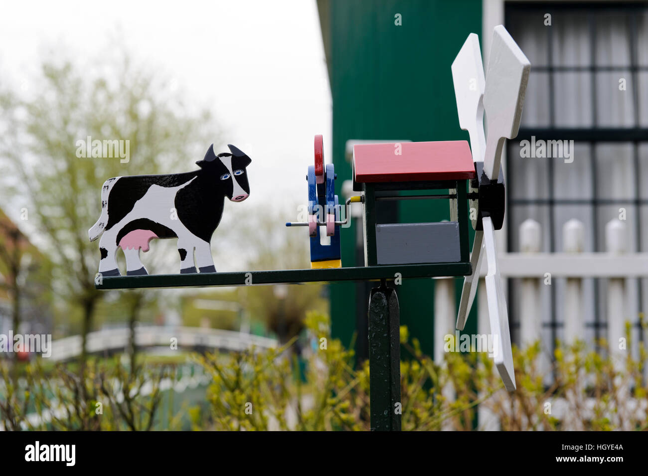 A dutch symbolic wooden wind vane with a black and white cow and ...