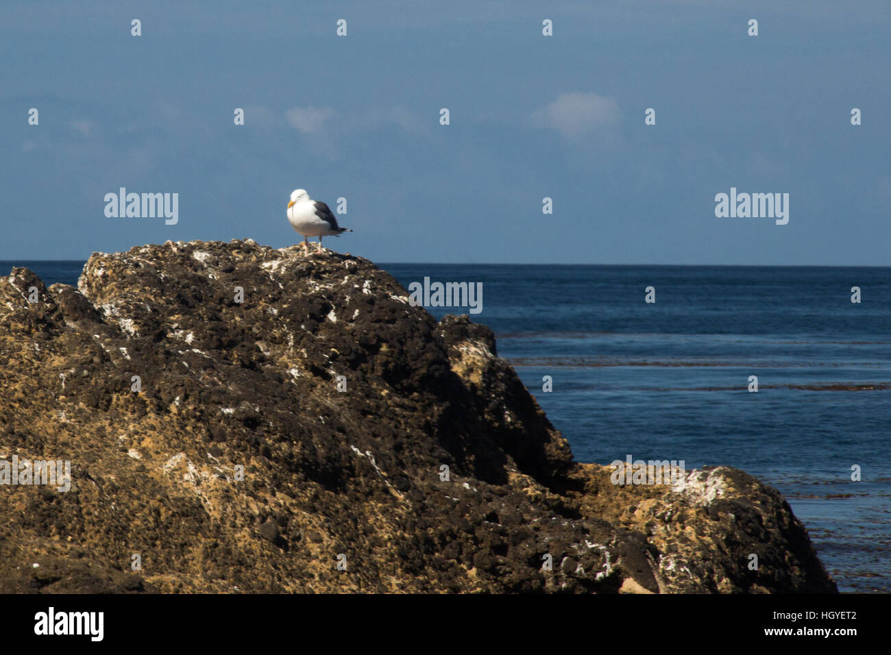 Amazing sceneries hi-res stock photography and images - Alamy