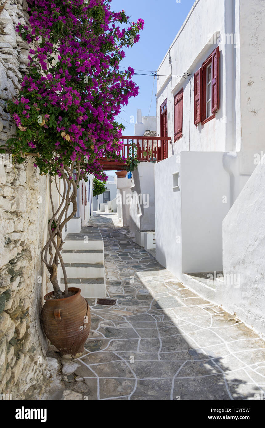 Sifnos island, Cyclades, Greece Stock Photo - Alamy