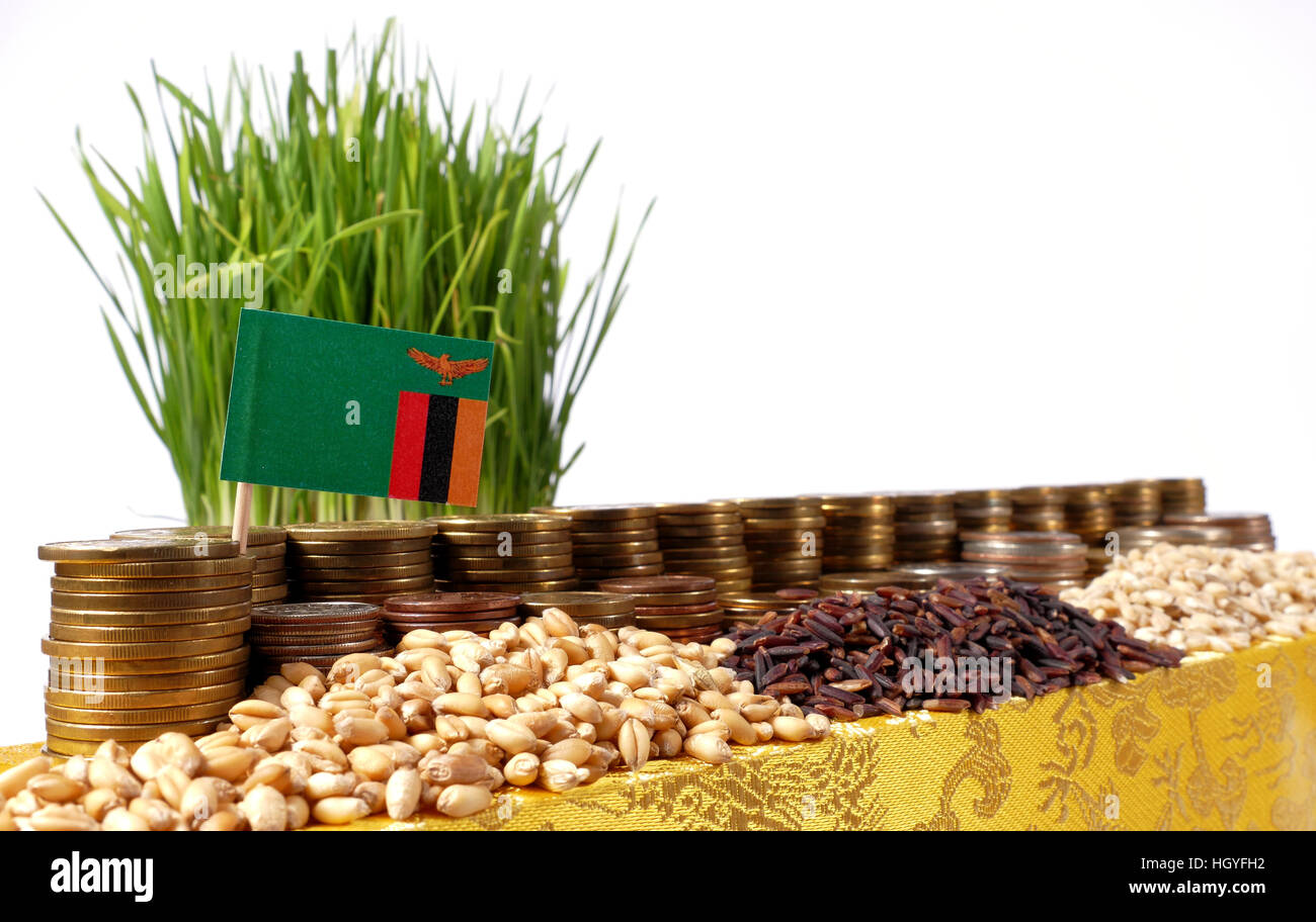 Zambia flag waving with stack of money coins and piles of wheat and ...