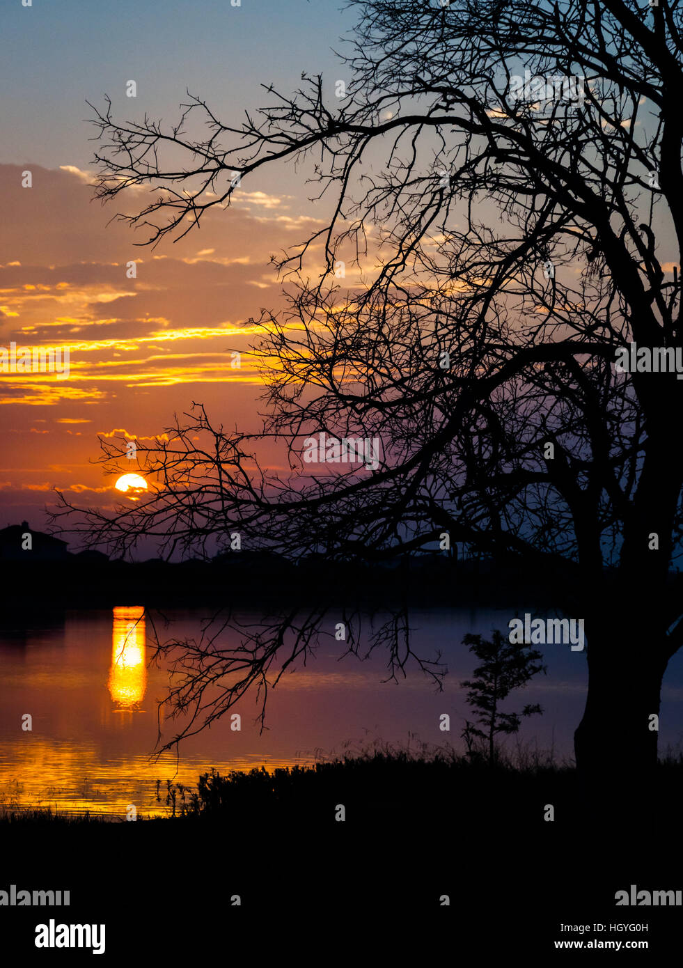 Grasping to tree hi-res stock photography and images - Alamy