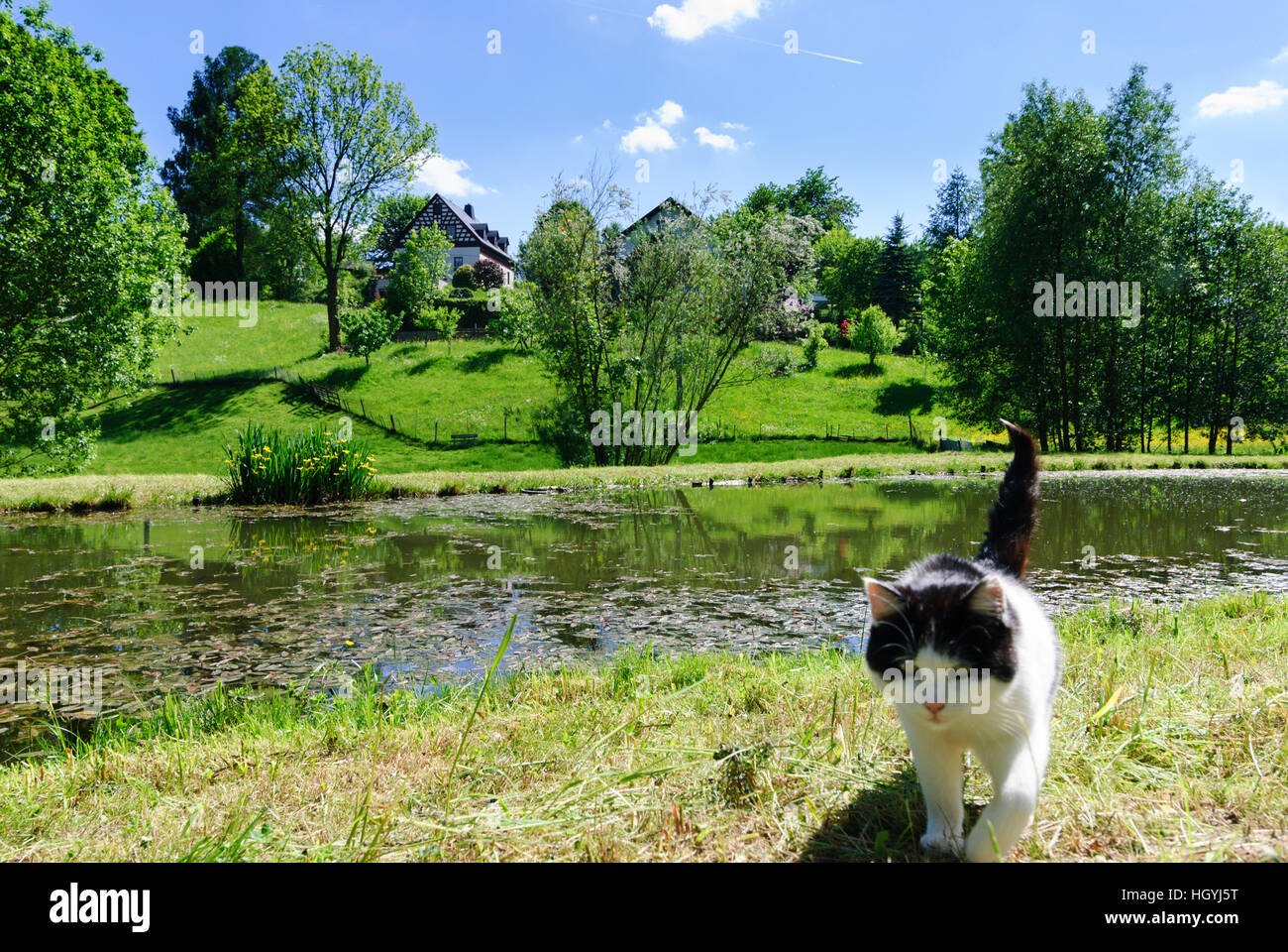 Bad brambach hi-res stock photography and images - Alamy