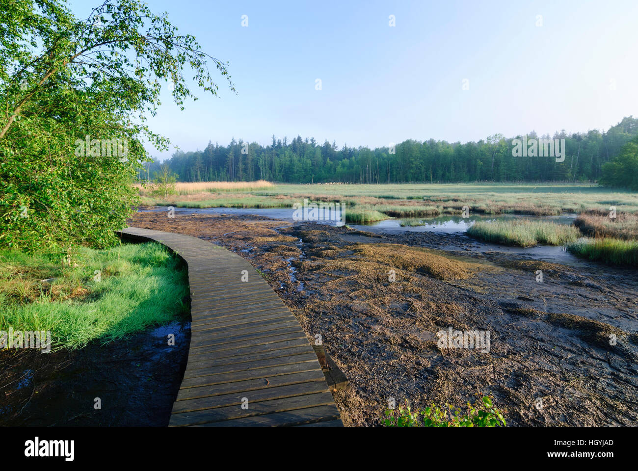 Moor in the nature reserve soos egerland hi-res stock photography and ...