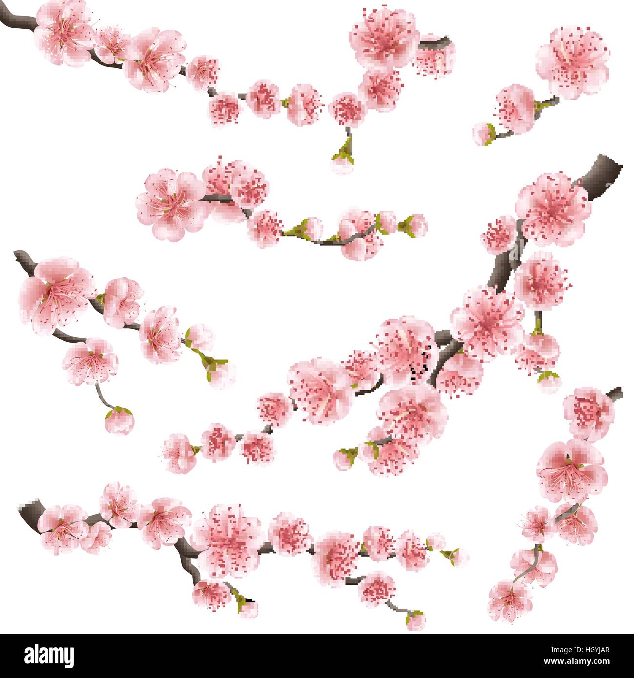 Set of sakura japan cherry branch. EPS 10 Stock Vector Image & Art - Alamy