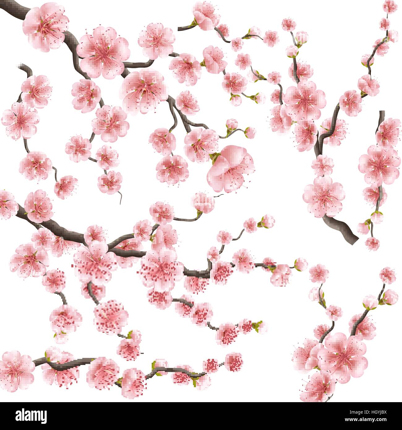 Spring cherry blossom sakura Stock Vector Images - Alamy