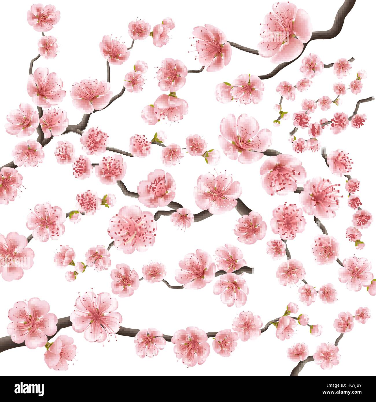 Sakura flowers background cherry Stock Vector Images - Alamy