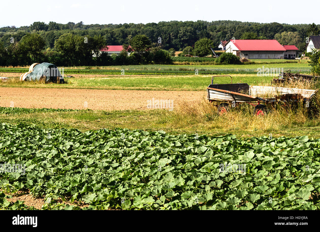German rural landscape with a farm in summer Stock Photo - Alamy
