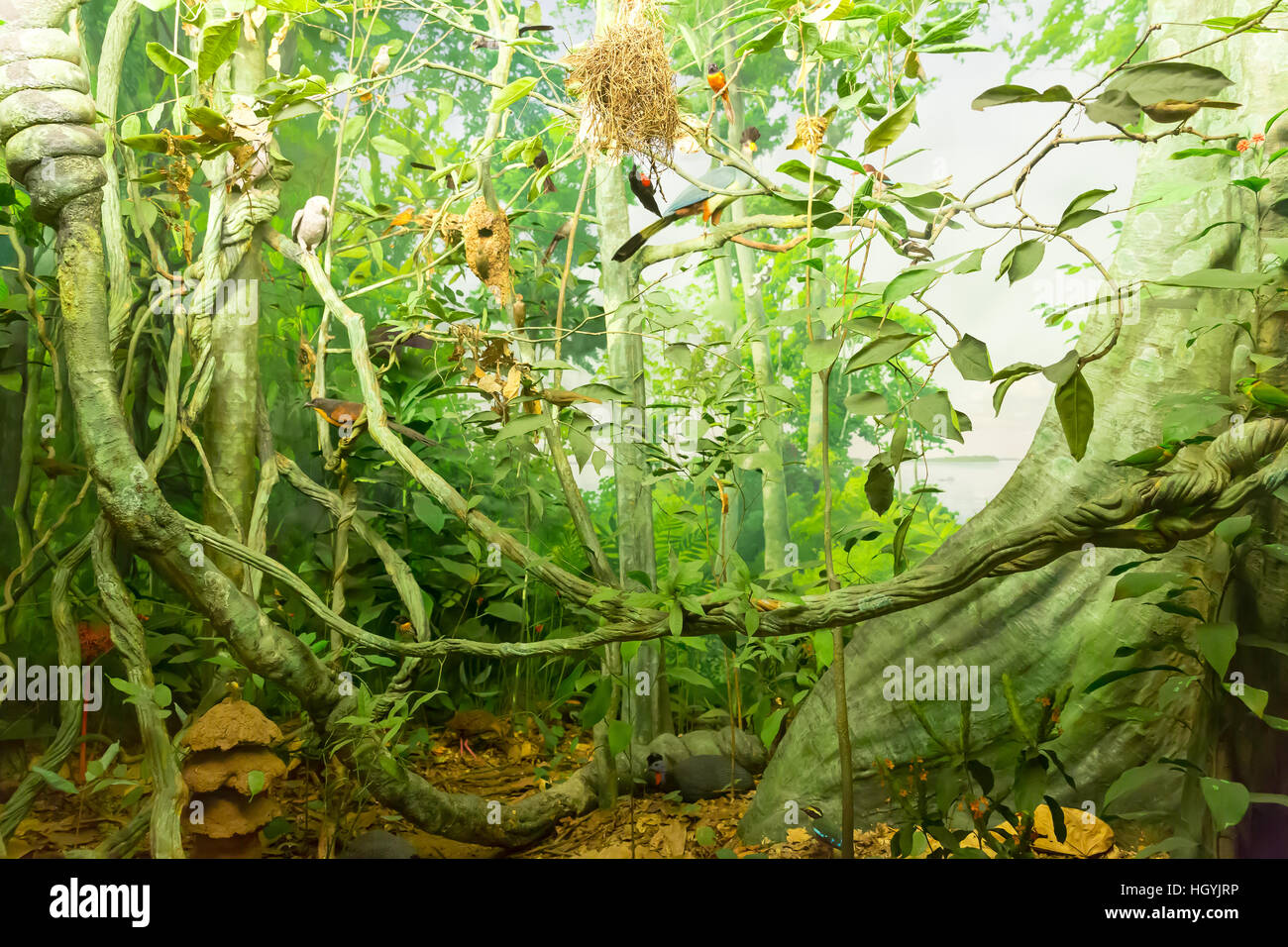 Model forest miniature hi-res stock photography and images - Alamy