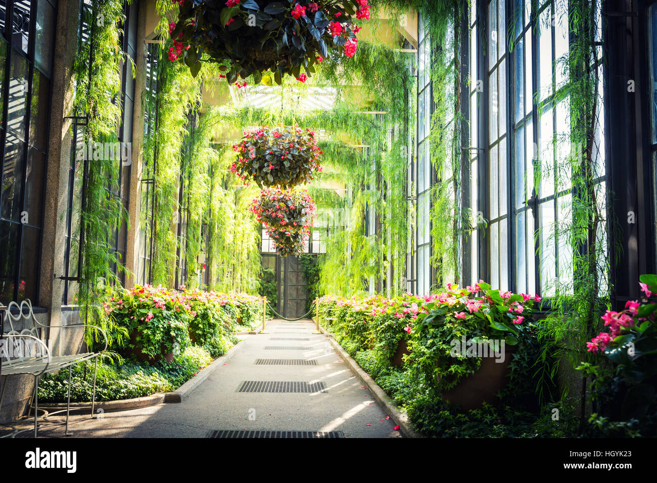 Alley with flowers hi-res stock photography and images - Alamy