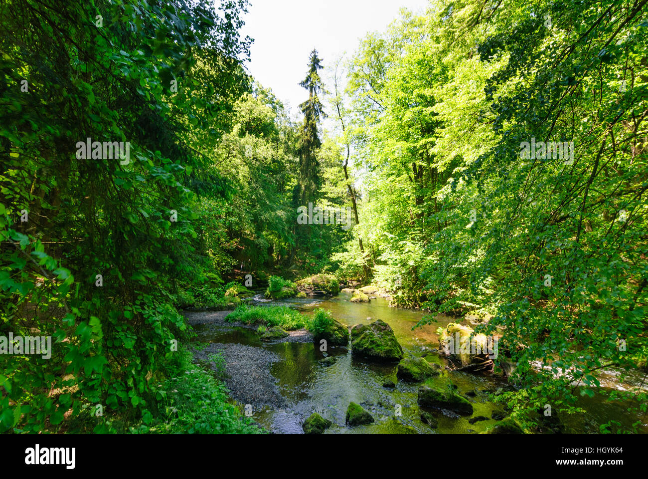 Vogtlan hi-res stock photography and images - Alamy