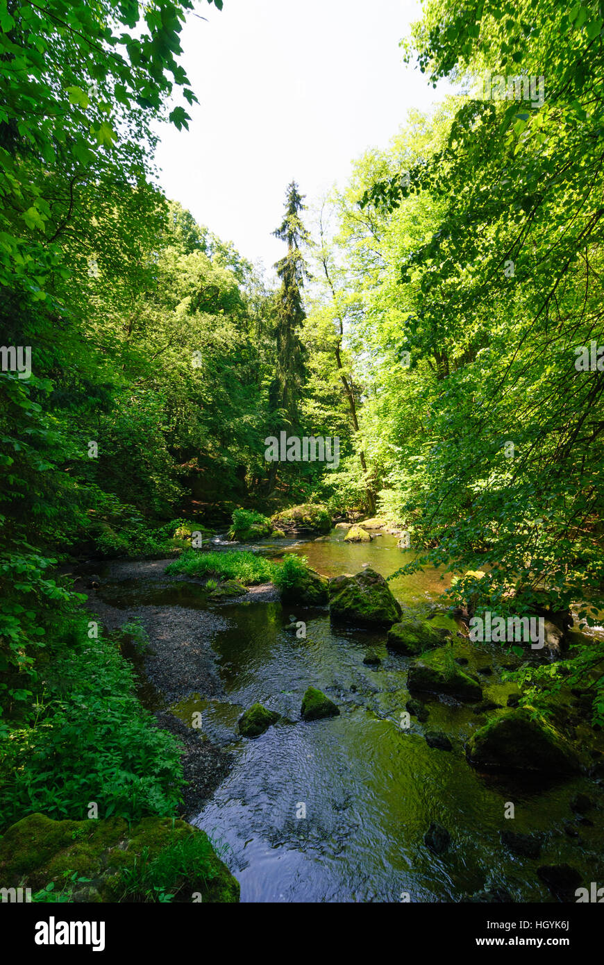 Trieb High Resolution Stock Photography and Images - Alamy