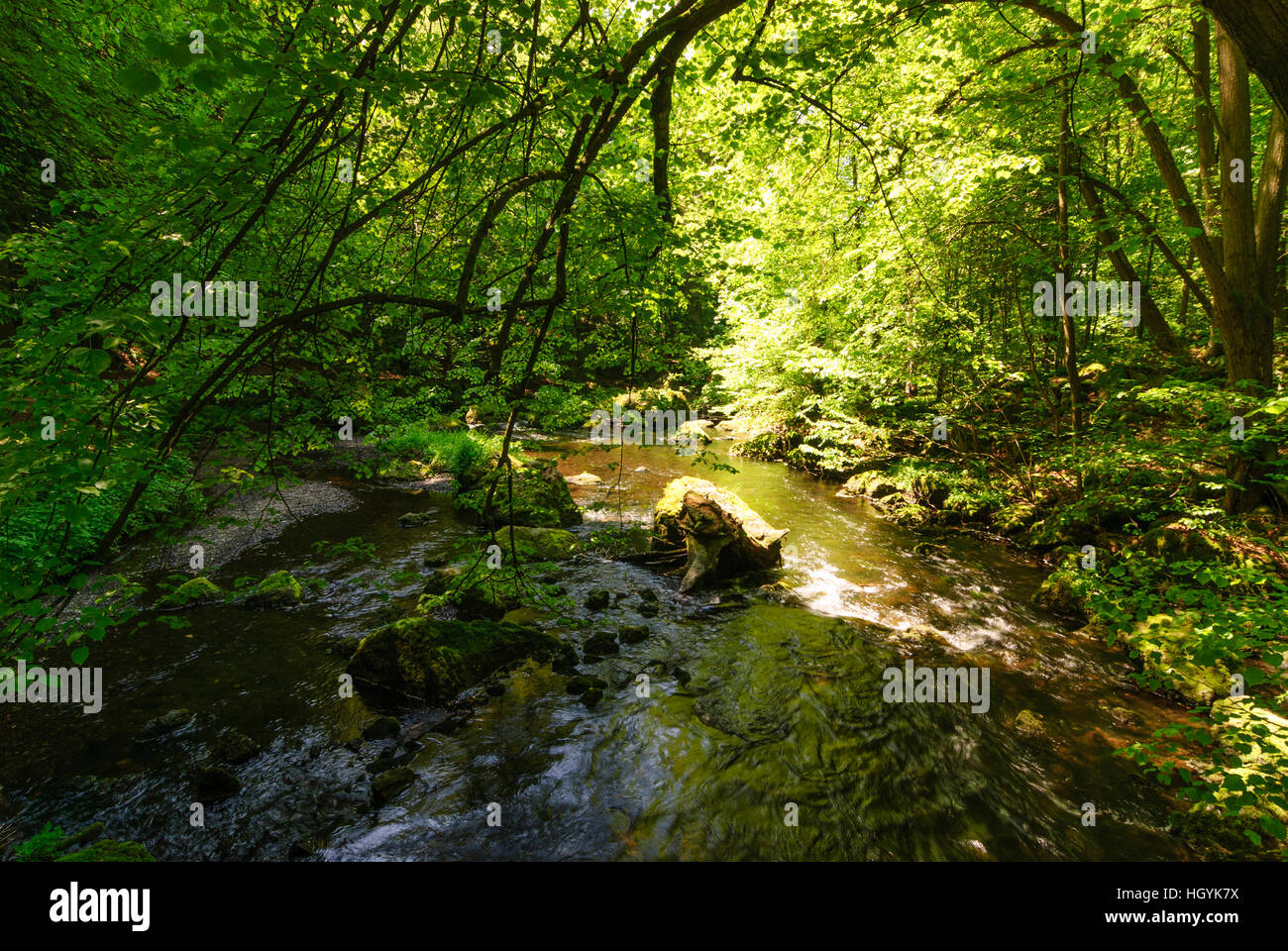 Pöhl: stream Trieb in the valley Triebtal, Vogtland, Sachsen, Saxony ...