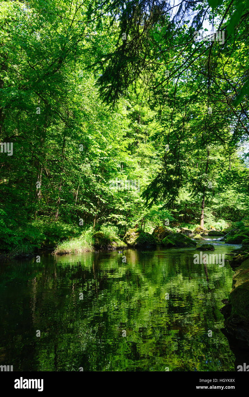 Vogtlan hi-res stock photography and images - Alamy