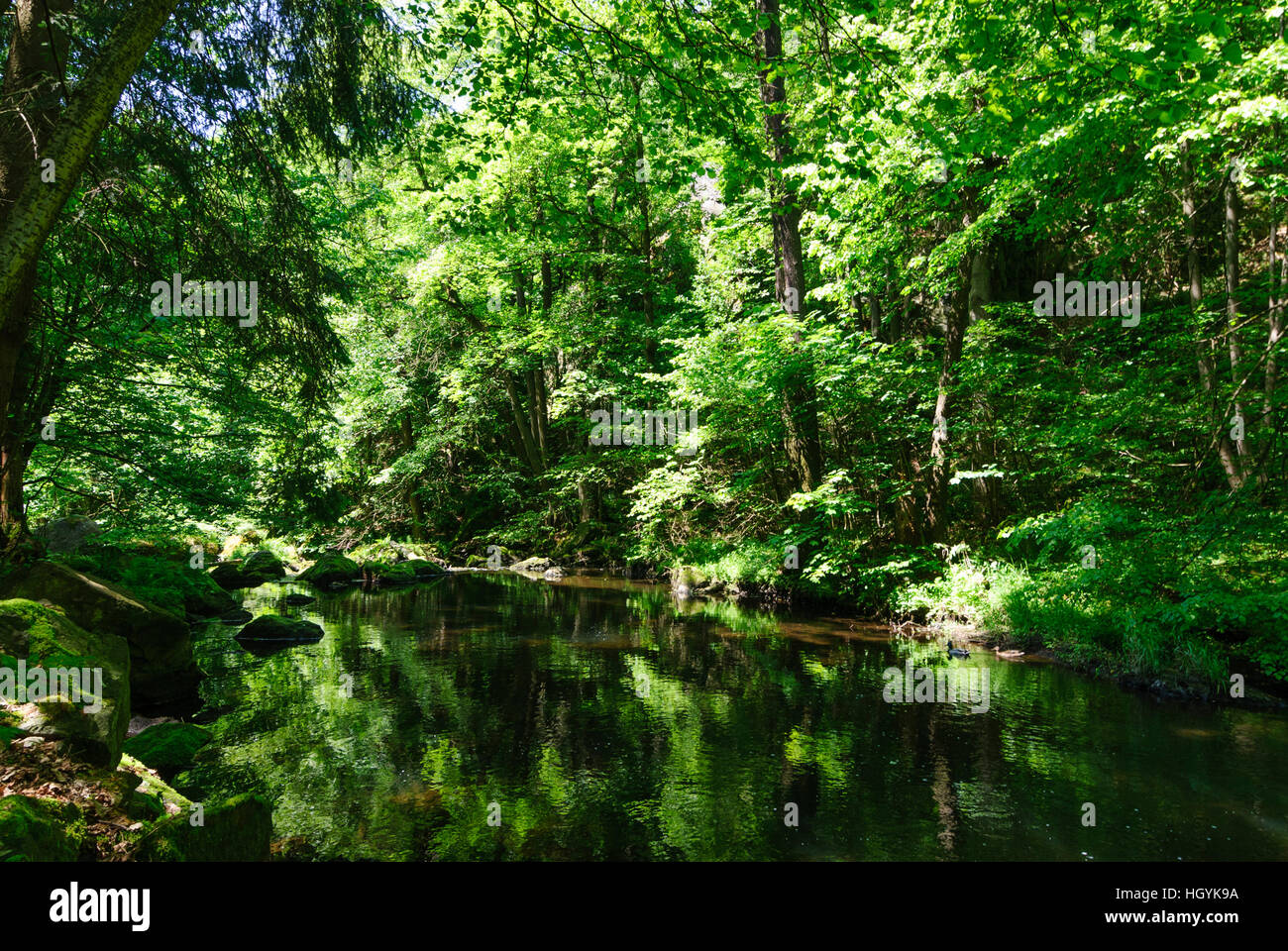 Pöhl: stream Trieb in the valley Triebtal, Vogtland, Sachsen, Saxony ...