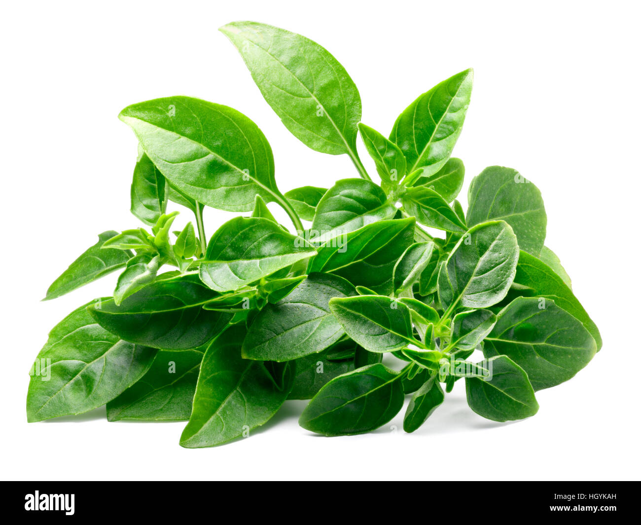 Fine leaved basil hi-res stock photography and images - Alamy