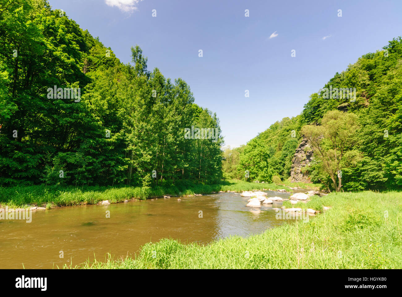 Weisse elster hi-res stock photography and images - Alamy