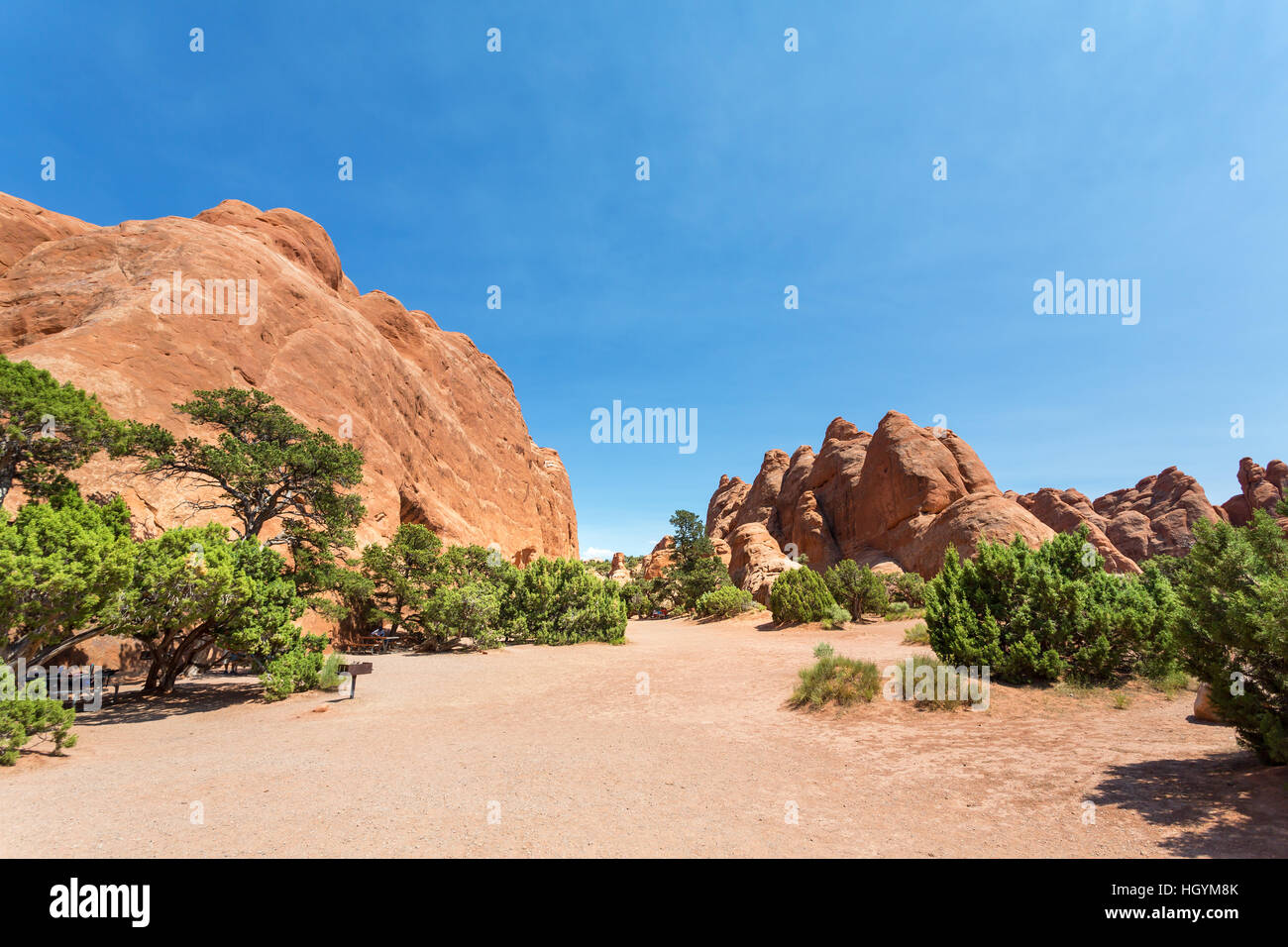 Rare flora hi-res stock photography and images - Alamy