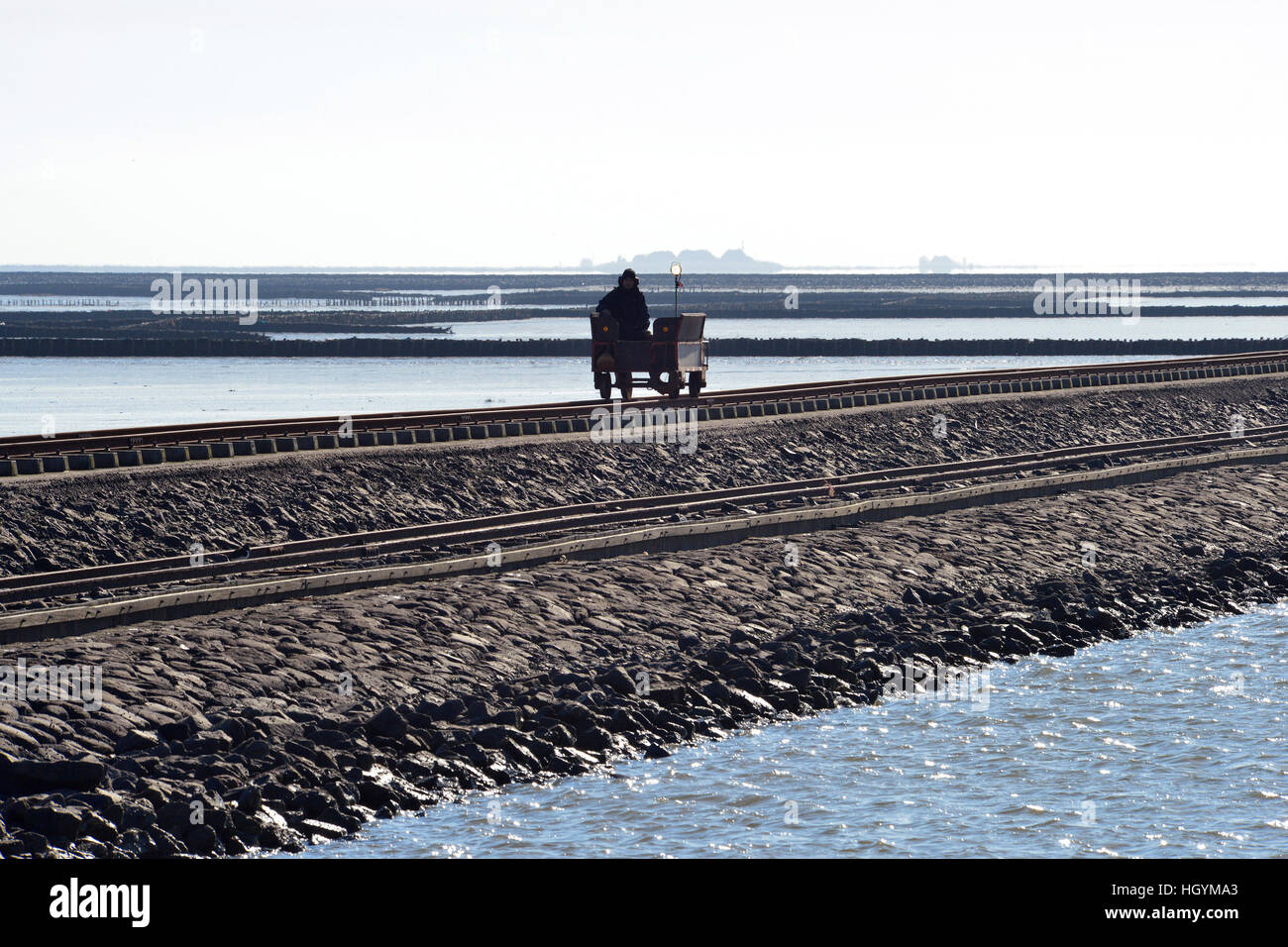 Wagon rolling over dam in Wadden Sea, Hallig Oland, island, Schleswig ...