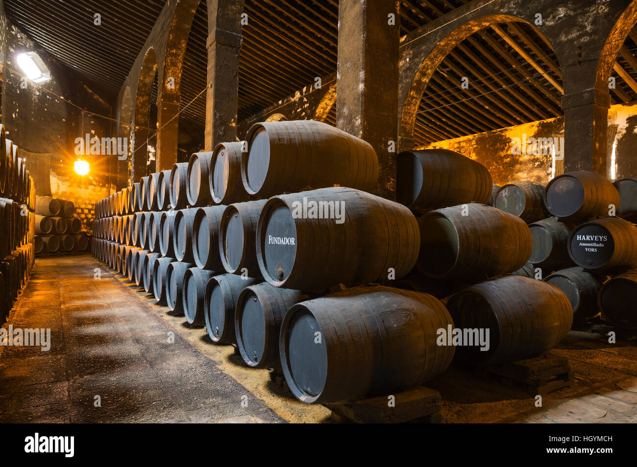 Stacked oak barrels in the wine cellar, winery Bodega Fundador Pedro ...