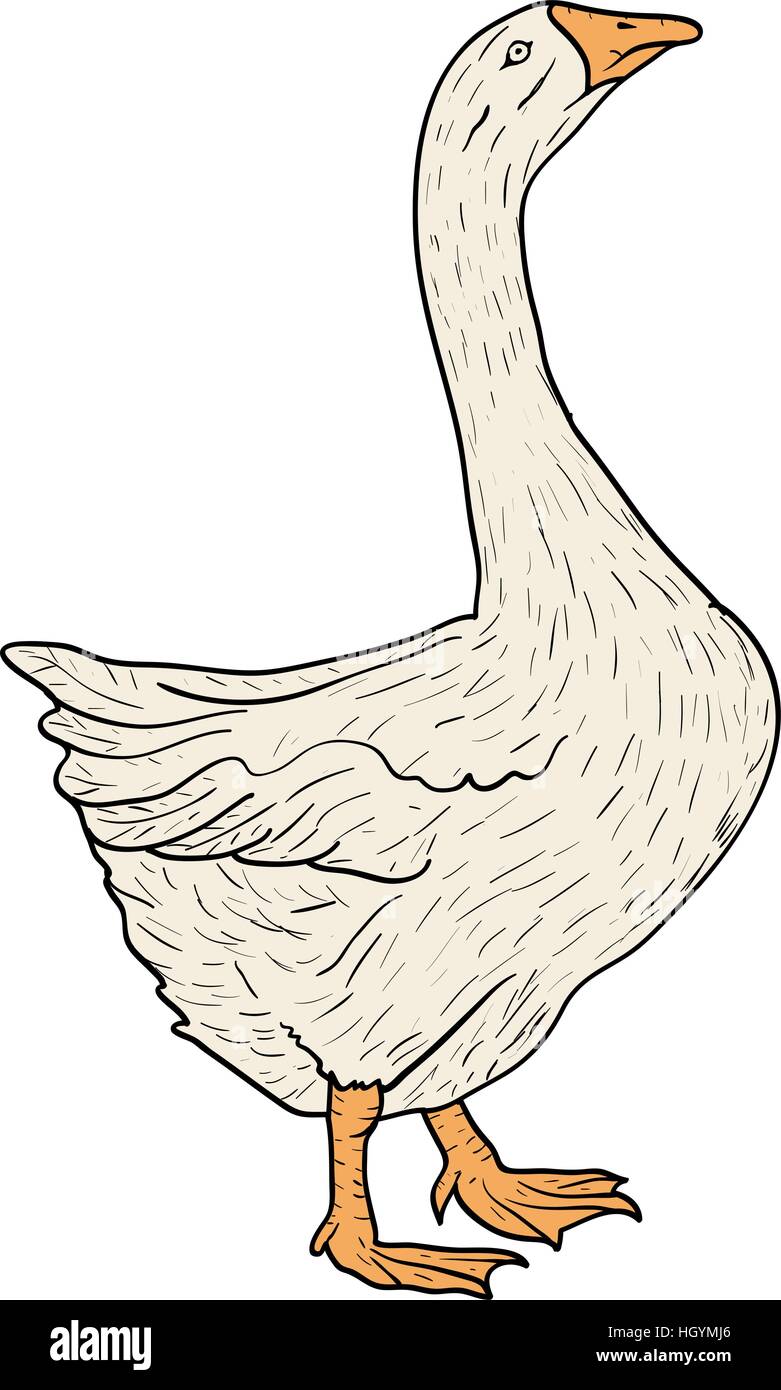 Sketch grey goose on a white background. Vector illustration Stock ...
