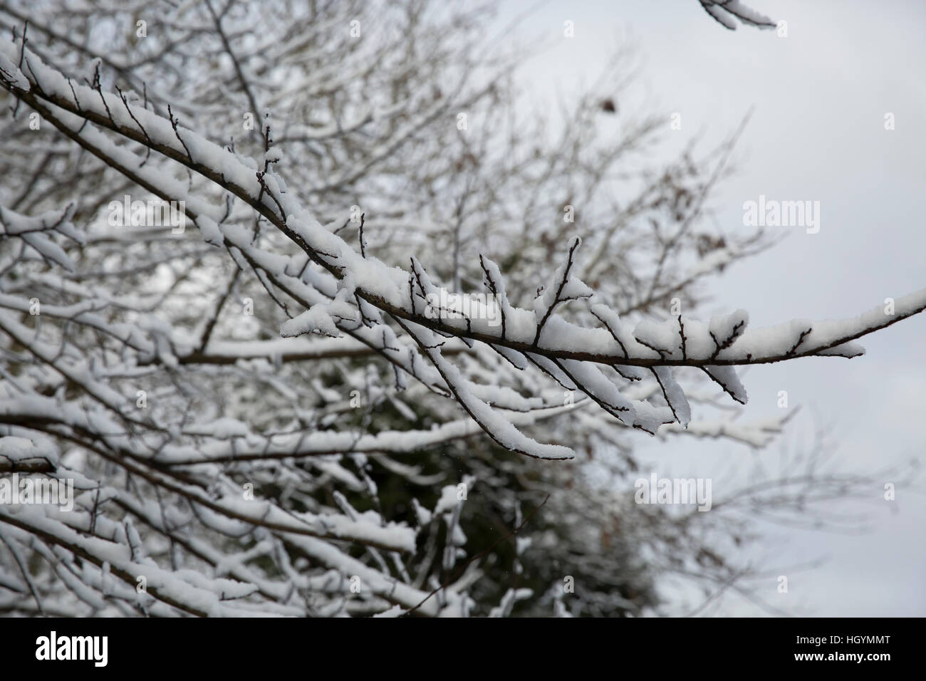 Winter snow biggin hill westerham hi-res stock photography and images ...