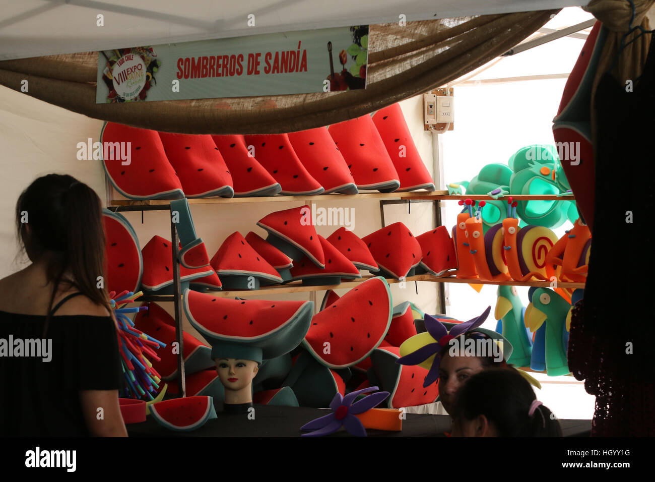 Paine,Chile 14-January-2017,The 8th expo Paine Watermelon festival ...