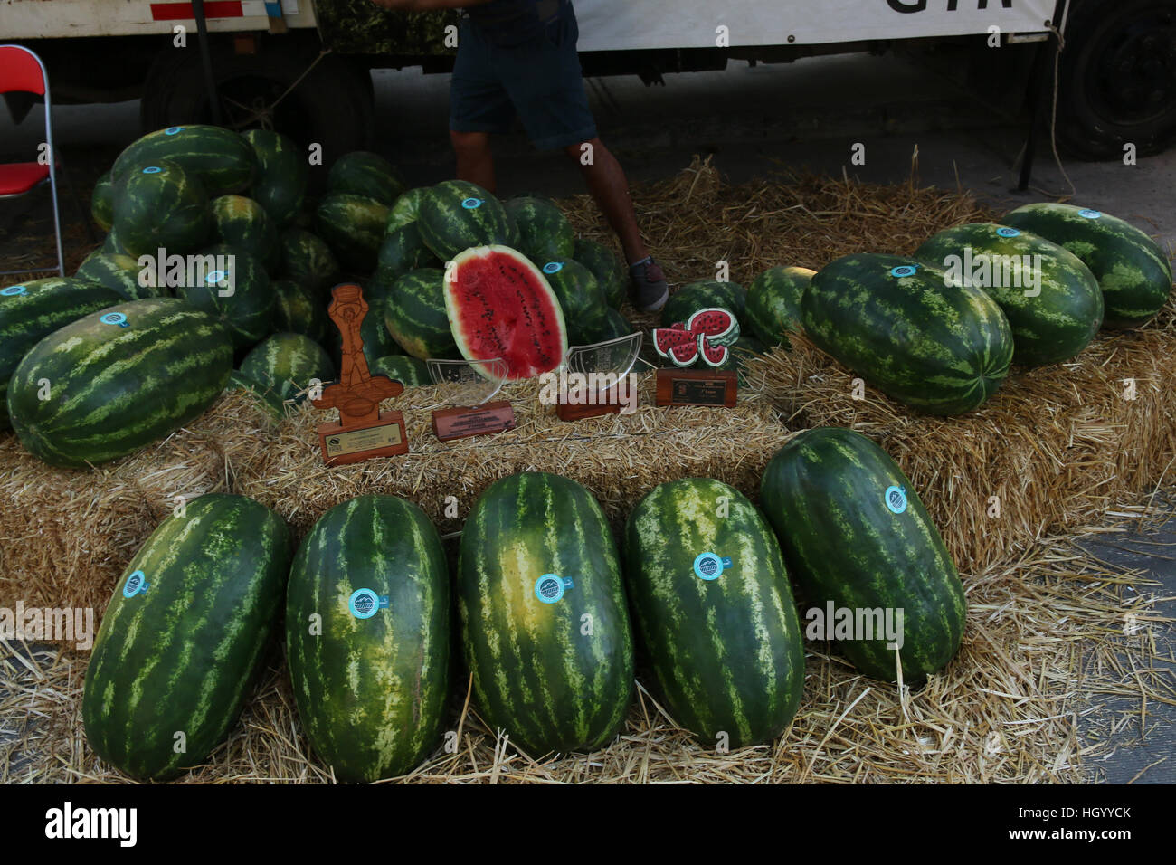 Paine,Chile 14-January-2017,The 8th expo Paine Watermelon festival ...