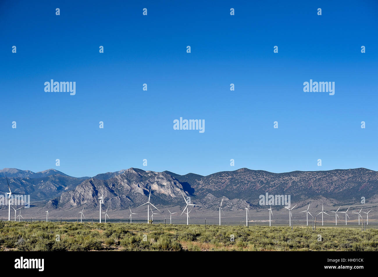 Ely, Nevada, USA. 11th July, 2016. Windmills dot the landscape in the ...