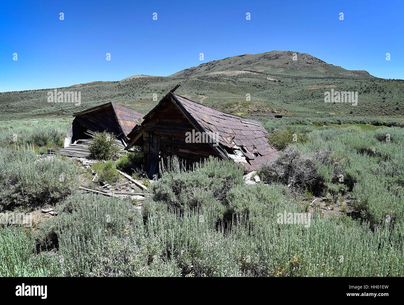 Hamilton Nevada Ghost Town High Resolution Stock Photography and Images ...