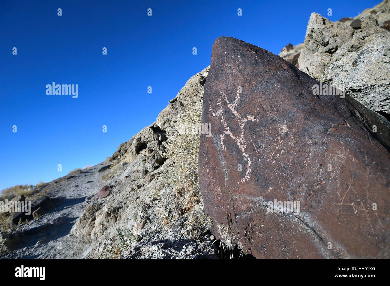 Fallon, Nevada, USA. 13th July, 2016. A petroglyph is seen on a stone ...