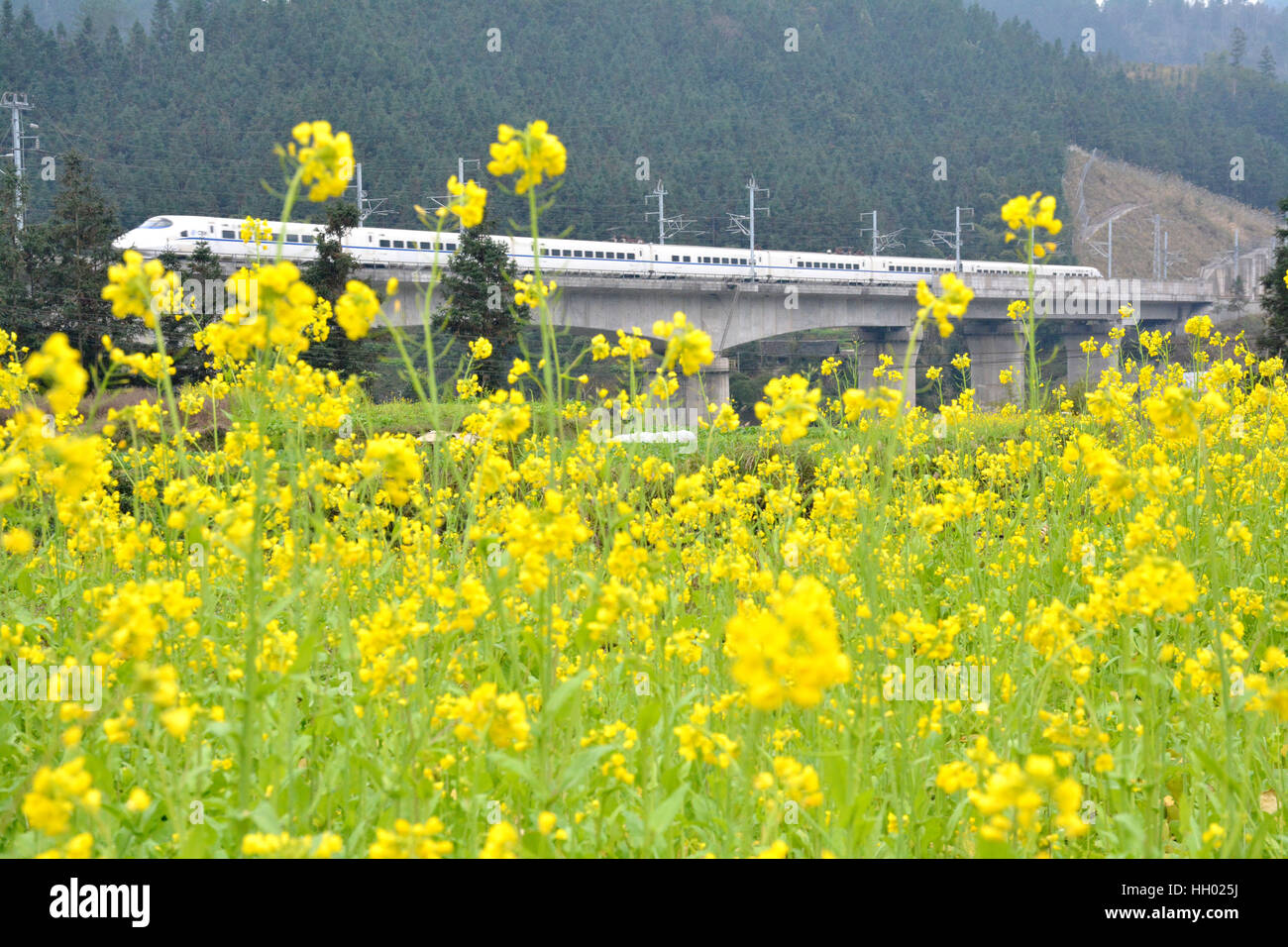 Guizhou, China. 14th January, 2017. A bullet train of the Guiyang ...