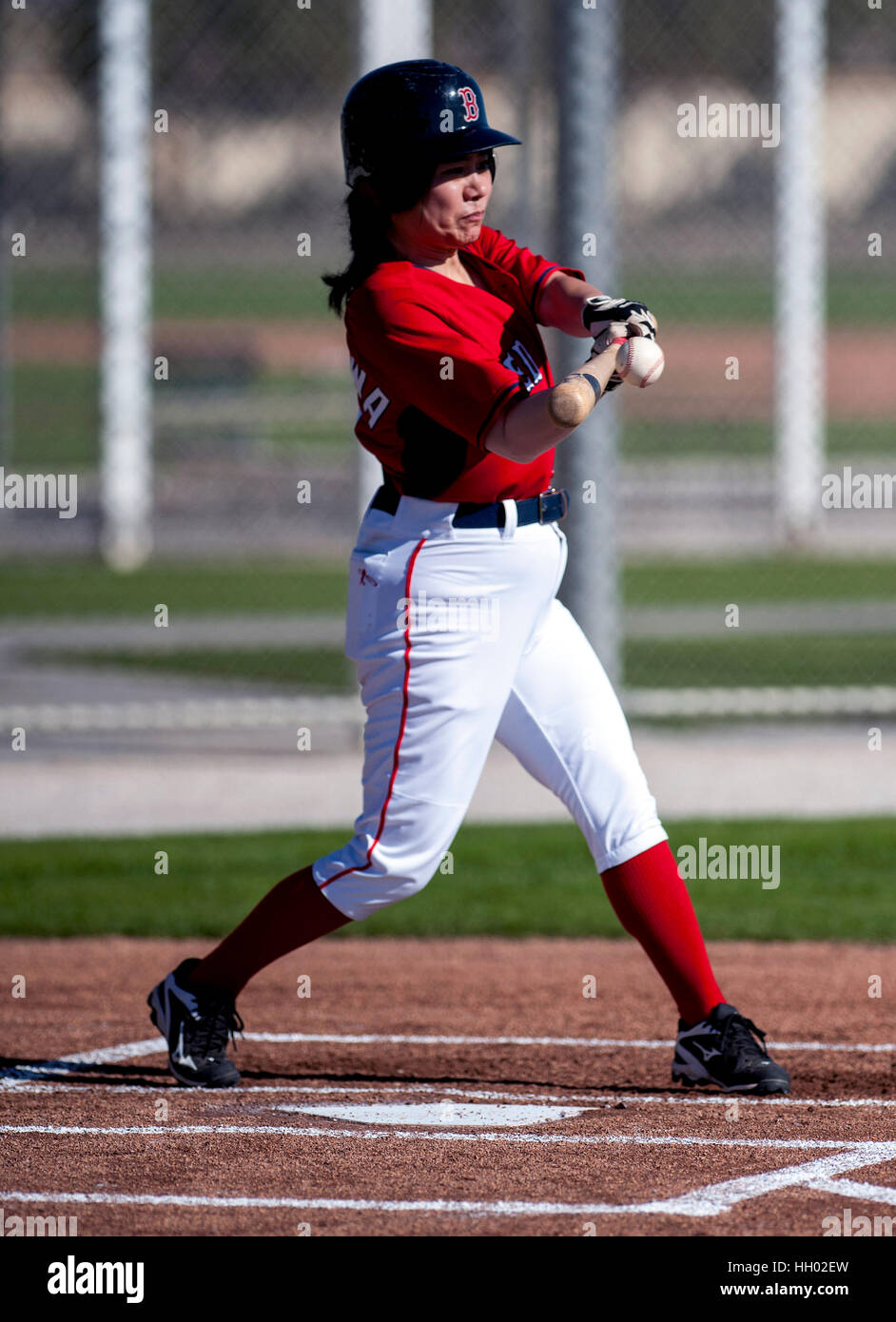 Fort Myers, Florida, USA. 12th Jan, 2017. AKISA FUKUZAWA, 49, makes ...