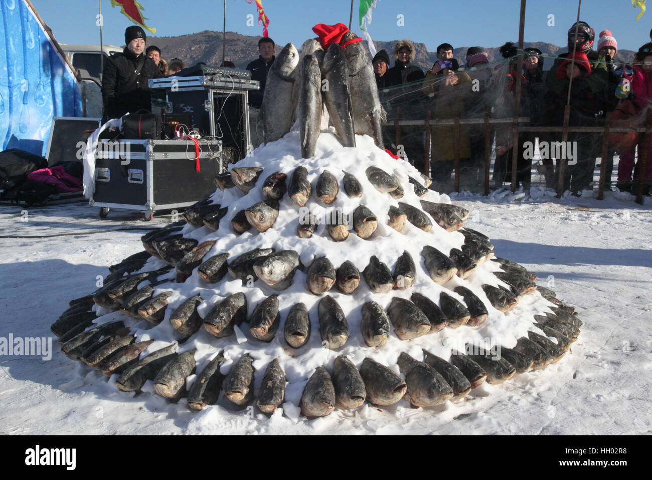 Chifeng. 14th Jan, 2017. Photo taken on Jan. 14, 2017 shows fish caught ...