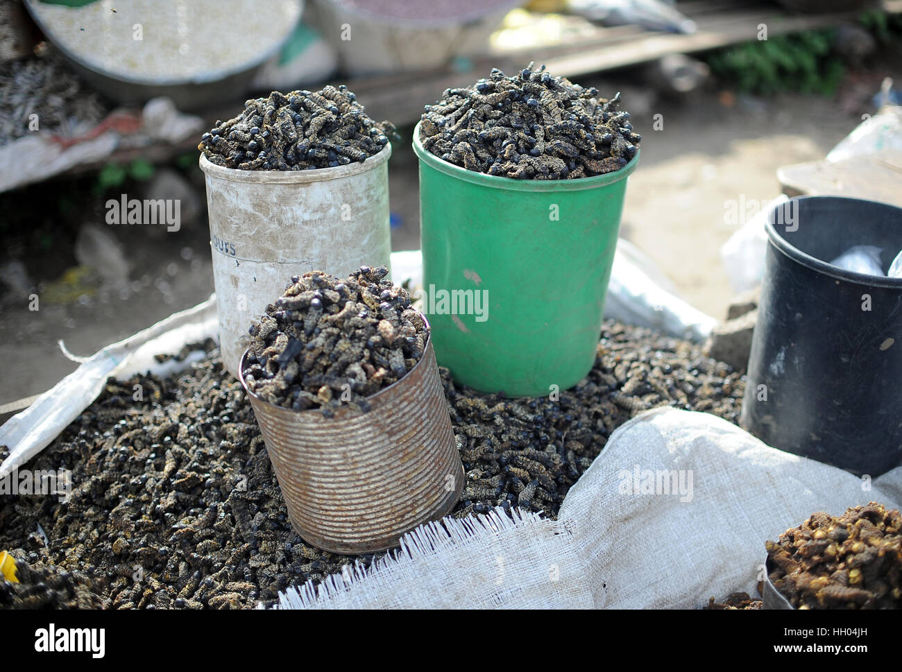 Zambia lusaka slum hi-res stock photography and images - Alamy