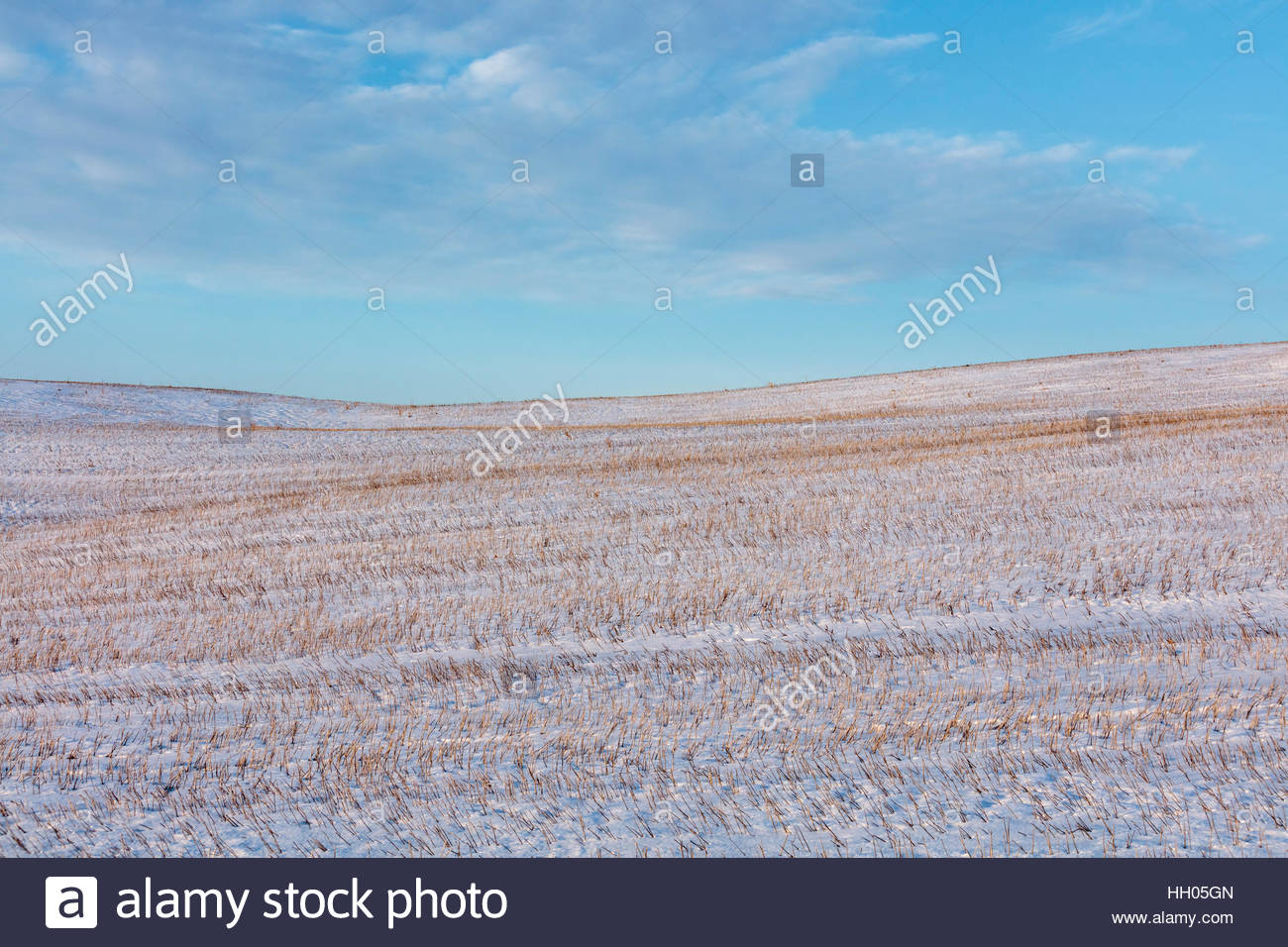 Empty Field High Resolution Stock Photography and Images - Alamy