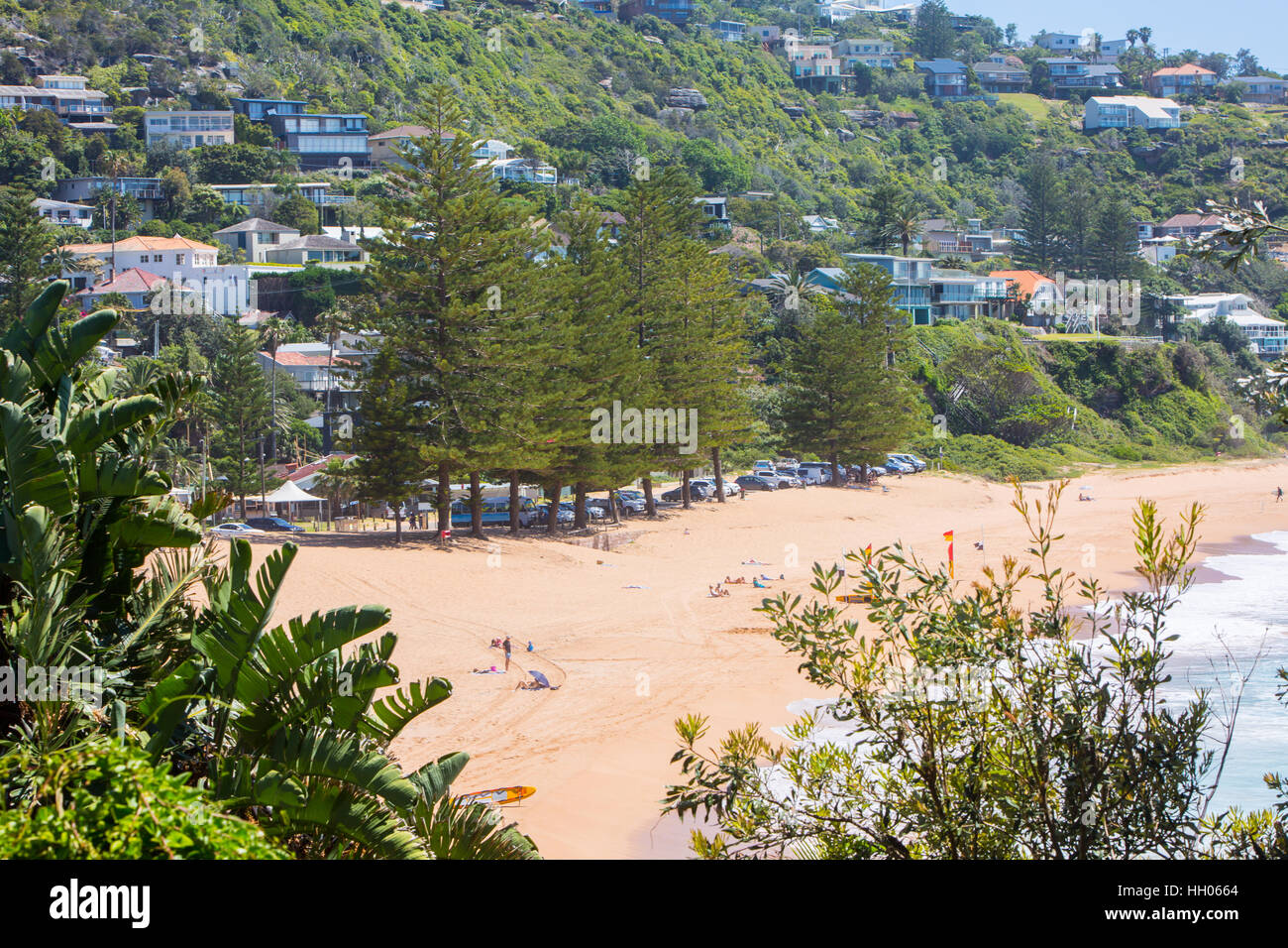 Aerial view of Whale beach, one of Sydney's famous northern beaches on ...