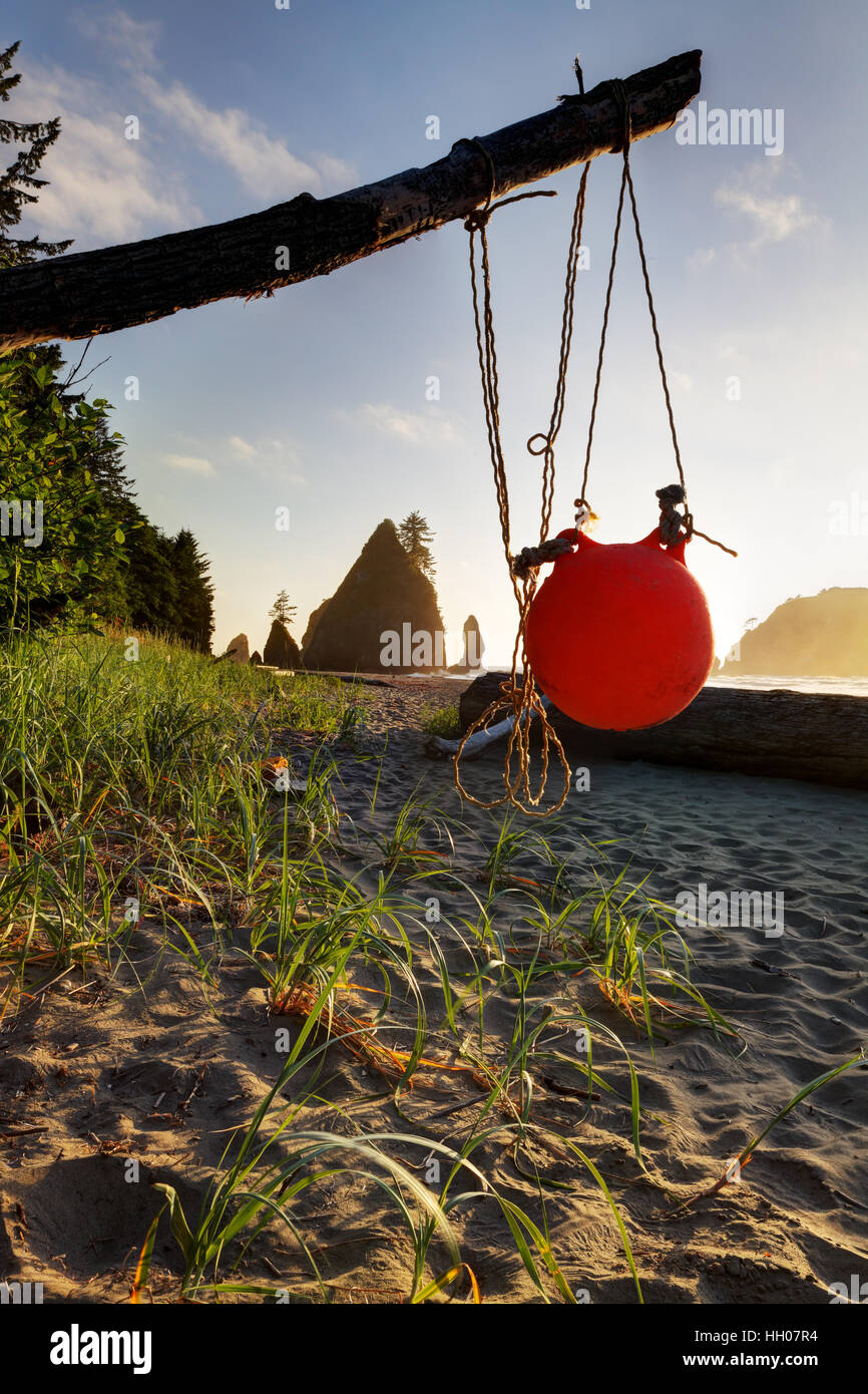 Orange fishing net float hanging from driftwood, Shi Shi Beach, Olympic ...