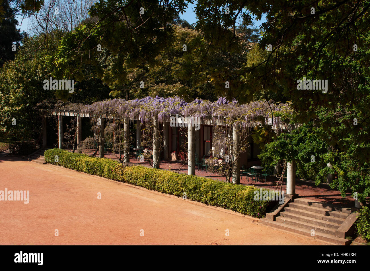 Porto: the gardens of Serralves Foundation, one of the most important ...