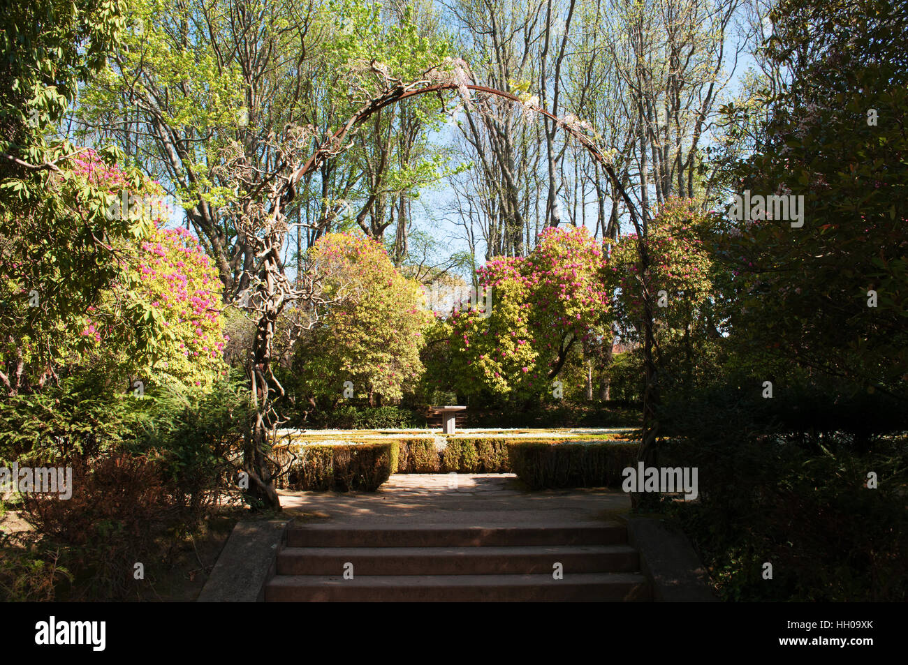 Porto: the gardens of Serralves Foundation, one of the most important ...