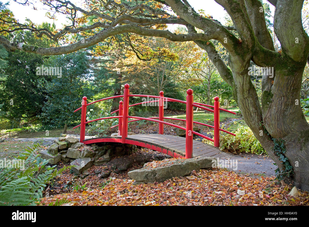 Chinese Red Bridge High Resolution Stock Photography and Images - Alamy