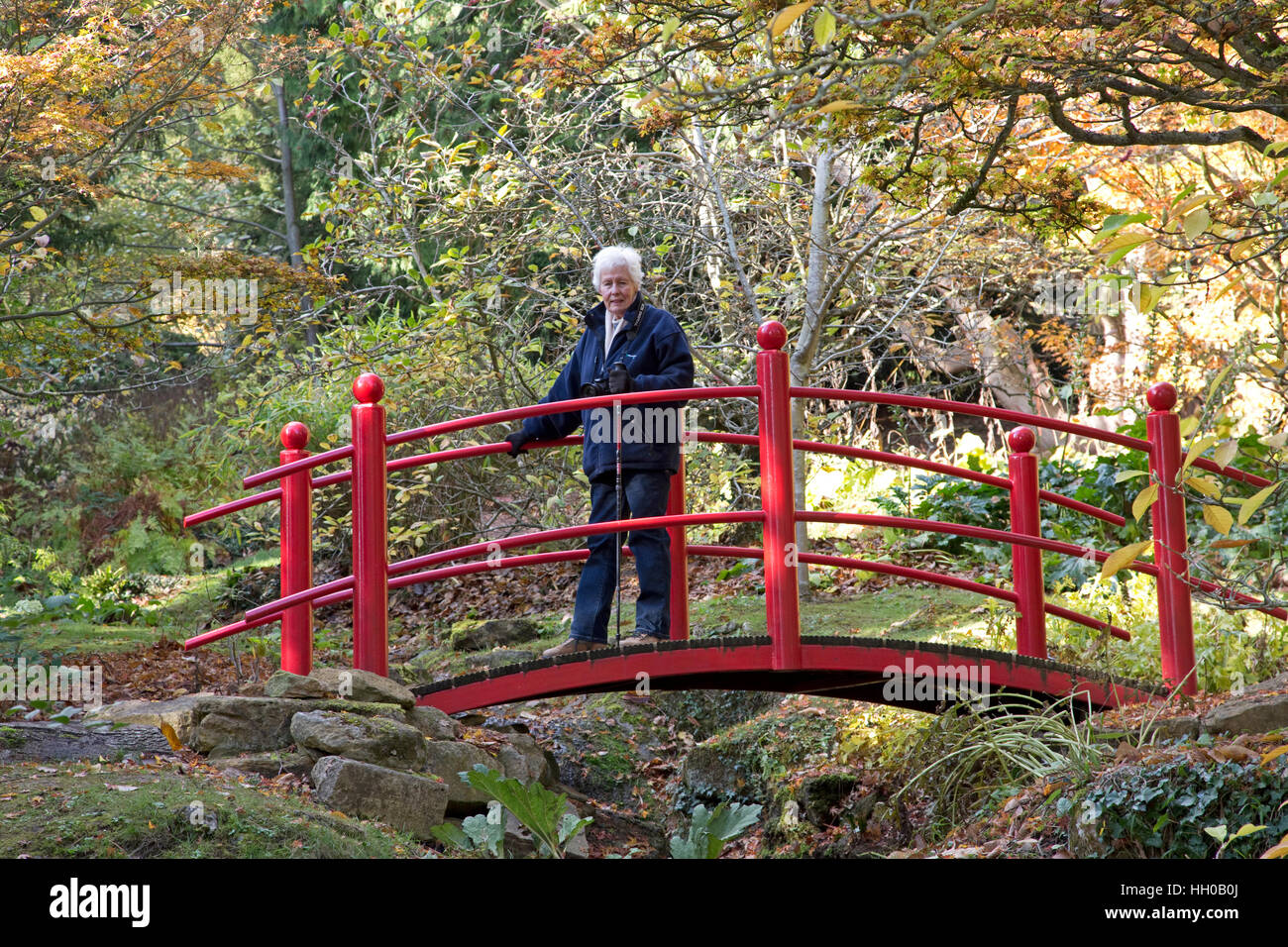 Chinese Footbridge High Resolution Stock Photography and Images - Alamy