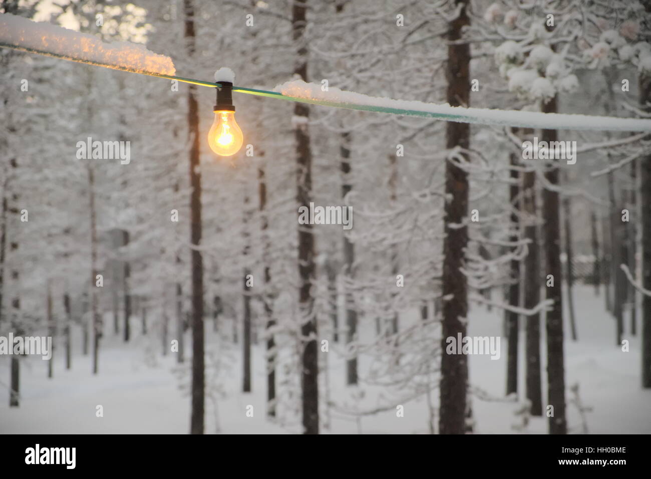 Woods lamp hi-res stock photography and images - Alamy
