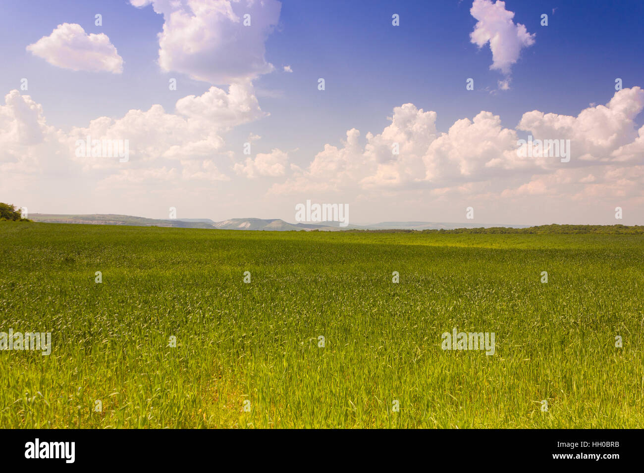 Green field landscape Stock Photo - Alamy