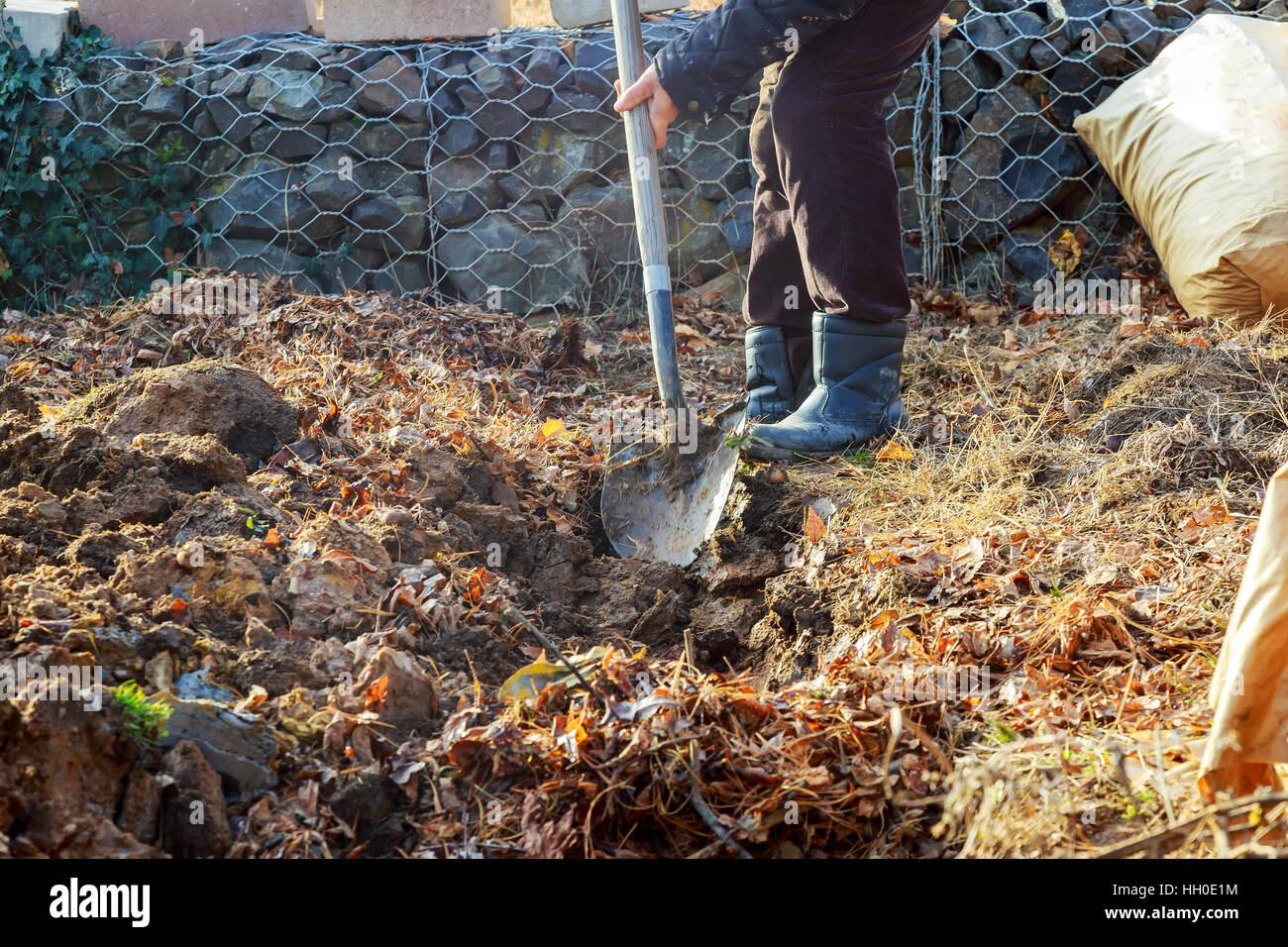 Man shoveling ground for landscape repair man digging shovel Stock ...