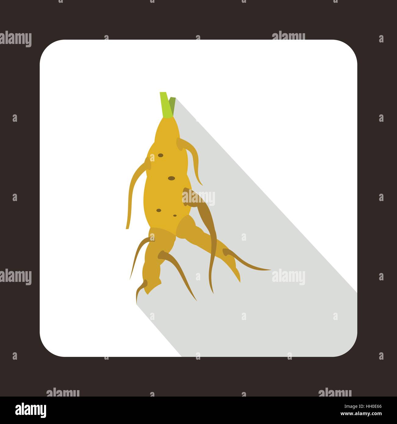 Ginseng rot icon in flat style Stock Vector Image & Art - Alamy