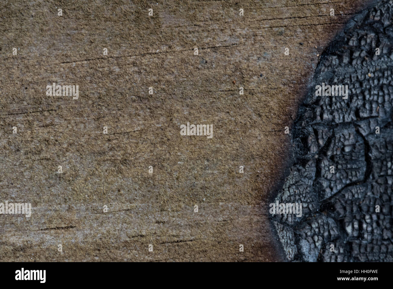 Blackened barren hi-res stock photography and images - Alamy