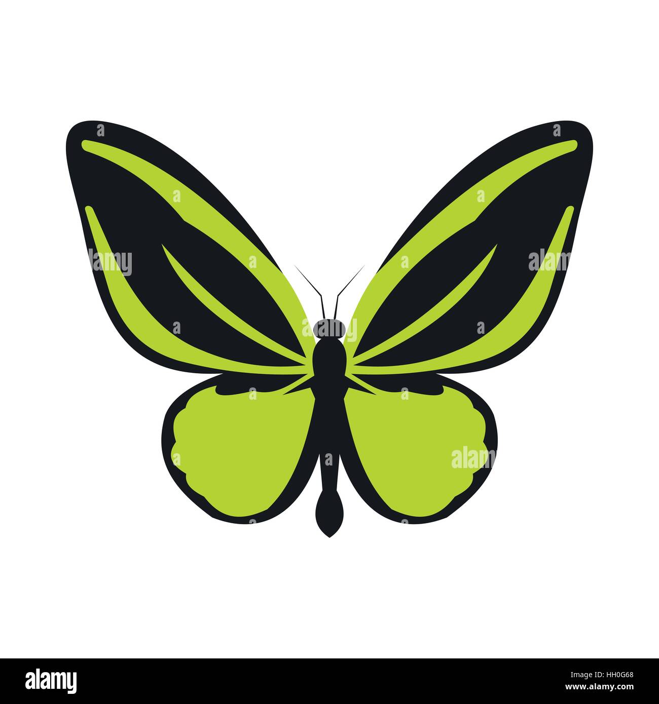 Green butterfly icon, flat style Stock Vector Image & Art - Alamy