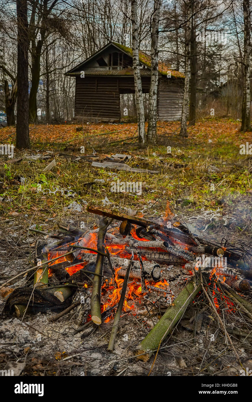 A fire in the Park of felled trees and debris Stock Photo - Alamy
